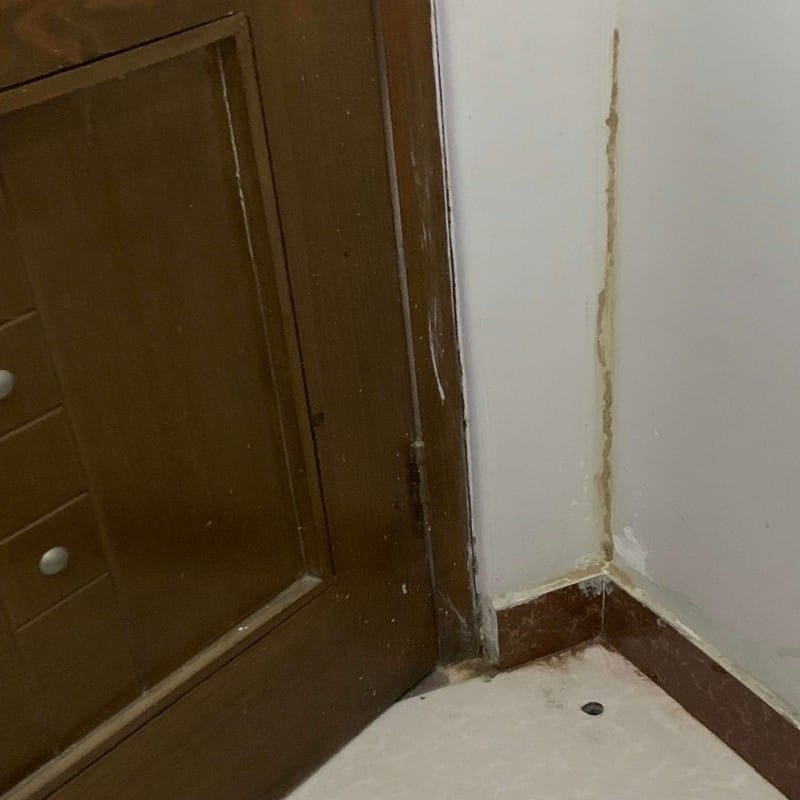 Termite Control, Deemak Control Services in Lahore